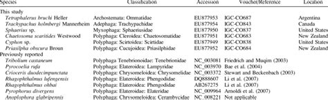 Taxonomic Information And Accession Numbers For The Coleopteran Taxa Download Table