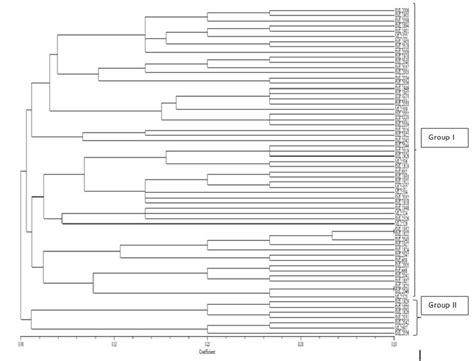 Unweighted Pair Group Method With Arithmetic Mean Dendrogram Among The