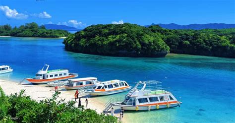 Cruise Ship Shore Excursion Ishigaki Island Fun Trip Shore