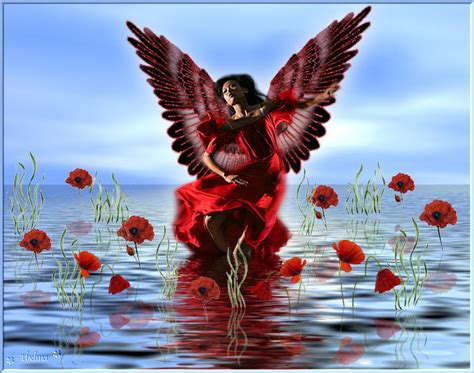 Poppy S Angel By Thelma On Deviantart