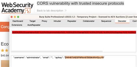 Dylan Foos On Linkedin Lab 9 Cors Vulnerability With Trusted Insecure Protocols Cors