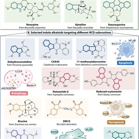 Pdf Naturally Derived Indole Alkaloids Targeting Regulated Cell Death