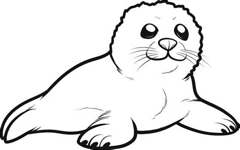 Desenho De Foca Filhote Para Colorir Tudodesenhos