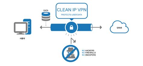 클린아이피 Vpn 장비