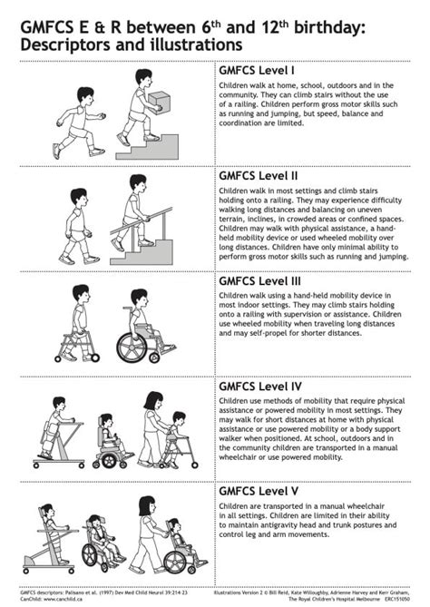 Cerebral Palsy Teachmepaediatrics