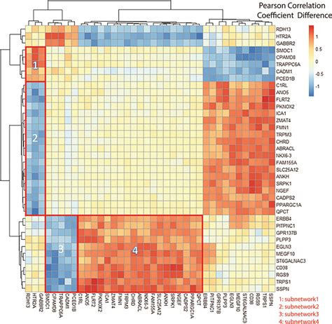 Heatmap Showing Difference In Co Expression Between A Subset Of Genes Download Scientific