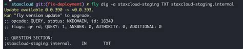 `fly Ssh Console S` Keeps Showing Old Vms