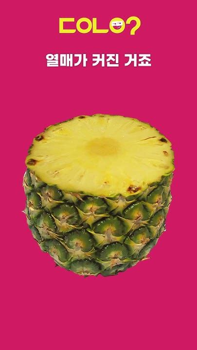 씨 없는 과일의 씨가 사라진 이유 Shorts Youtube