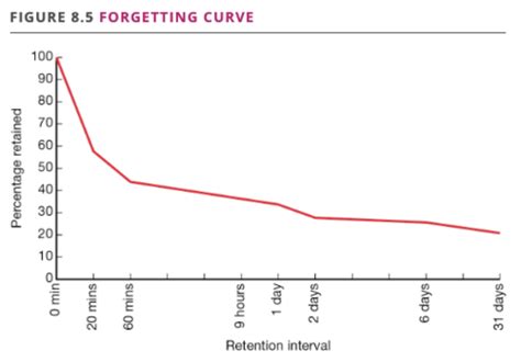 Human Cog Chapter 8 Flashcards Quizlet
