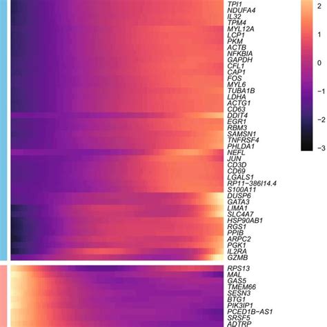 Distinct Patterns Of Gene Expression Correlate With Pseudotime A Download Scientific Diagram