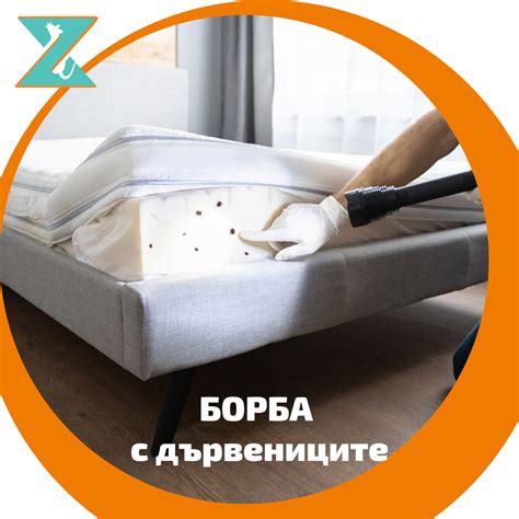 ПЕСТ КЕЪР ЕООД град София Унищожаване на хлебарки Фирма за борба с вредителите София ДДД