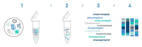 Characterisation Of Vineyard And Wine Microbiome By Dna Metabarcoding Allgenetics