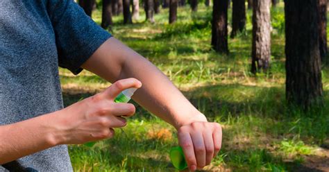 Ask Dr Dina What S The Best Way To Avoid Bug Bites Today S Parent