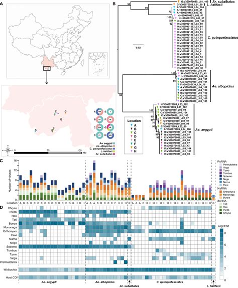 Metatranscriptomic Sequencing Reveals Host Species As An Important Factor Shaping The Mosquito