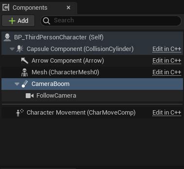 Character S Camera Controls And Movement Settings EngineLoop Tick