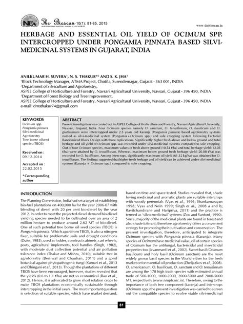 Pdf Herbage And Essential Oil Yield Of Ocimum Spp Intercropped Under Pongamia Pinnata Based