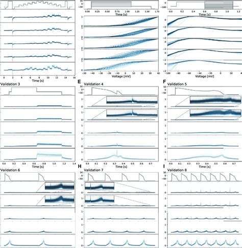 Whole Cell Patch Clamp Voltage Clamp Recordings Under Nine Different Download Scientific
