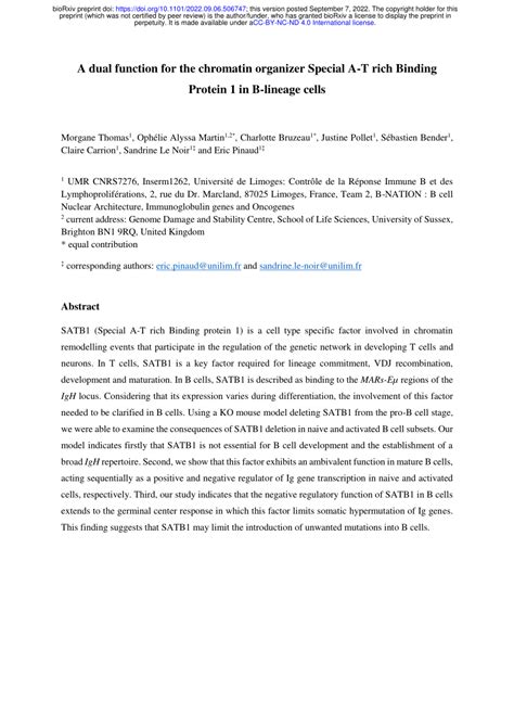 Pdf A Dual Function For The Chromatin Organizer Special A T Rich