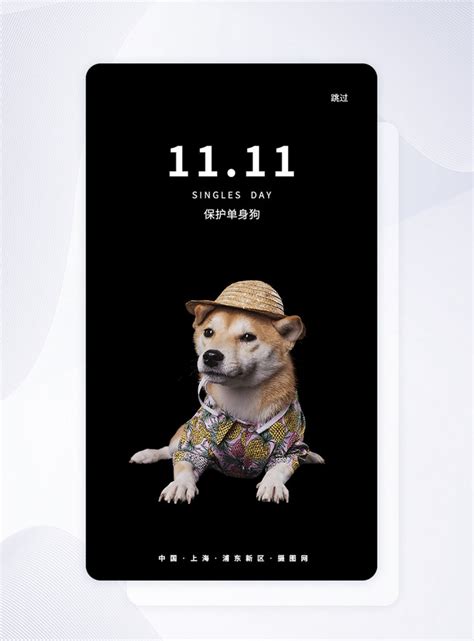 싱글 앱 스플래시 화면 Ui 가이드 페이지 이미지 사진 401651471 무료 다운로드