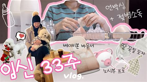 Vlog 젖병열탕소독 주간 🍼 막달 전에 준비 끝내기 베이비뵨 바운서 노시부 프로 코니 뉴본 꼭지모자 소고기 먹방 임신 33주차 브이로그 🤰🏻
