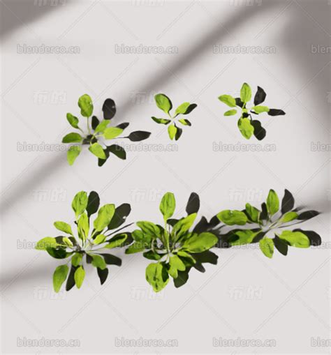 Blender草blender布的模型257 Blender布的