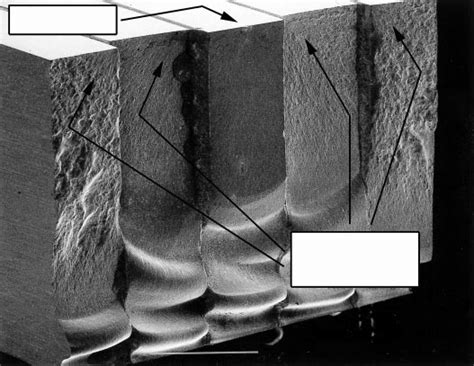 A Scanning Electron Micrograph Of A Typical Fracture Surface Where