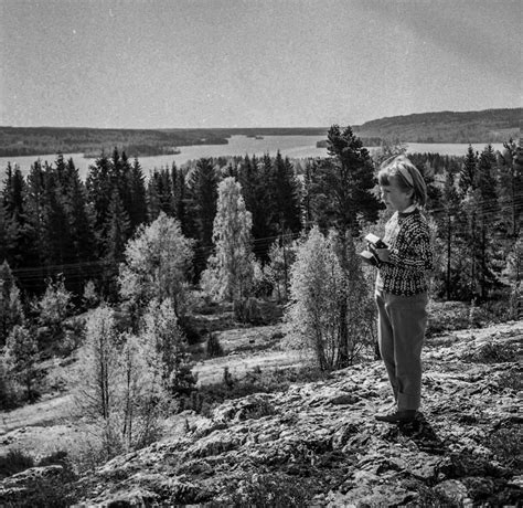 Vackra Bilder Fr N Fr Skog Englunds Fotoarkiv