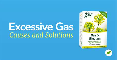 Excessive Gas Causes Tips And Supplements For A Healthy Gut Healthy