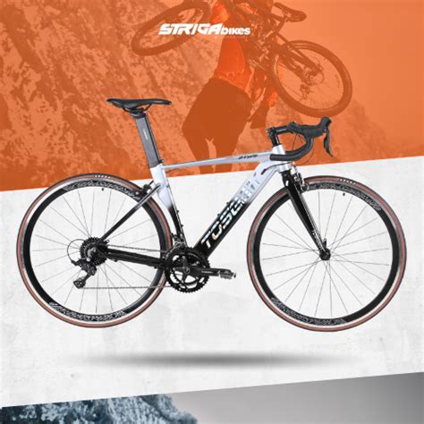 Toseek Type R Disc Aero Frame Road Bike Lazada Ph