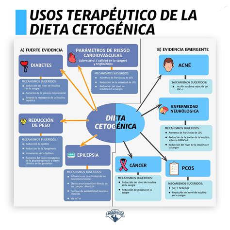 Dieta Cetogénica Una Guía Para Empezar • Fullmusculo En 2021 Dieta