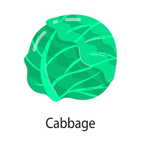 premium vector linear style web programming icon