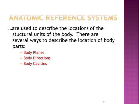 Ppt Anatomical Reference Systems Powerpoint Presentation Free