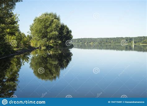 Green Tree On The Water Nature Background Stock Image Image Of