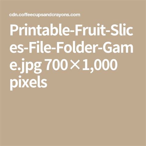 File Folder Fruit Slice Folders