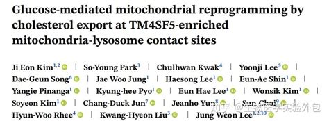 文献分享 If 16 的设计思路原来是这样的，线粒体 代谢重编程 糖酵解 自噬四大国自然热点齐聚一堂 知乎