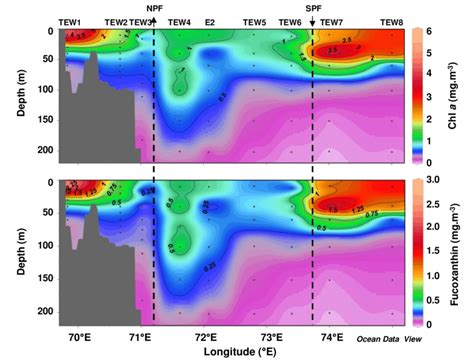 Vertical Distribution Of Total Chlorophyll A Chl A And Fucoxanthin