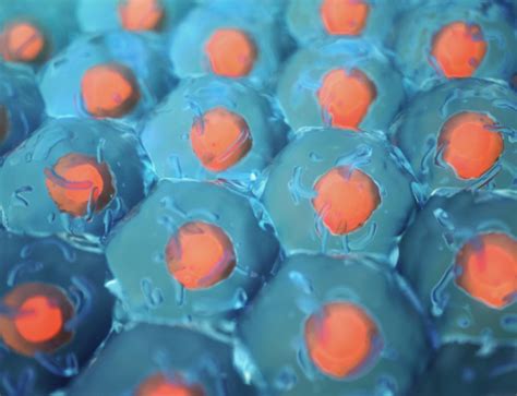 Upcoming Rna Seq Workshops Rna Seq Blog