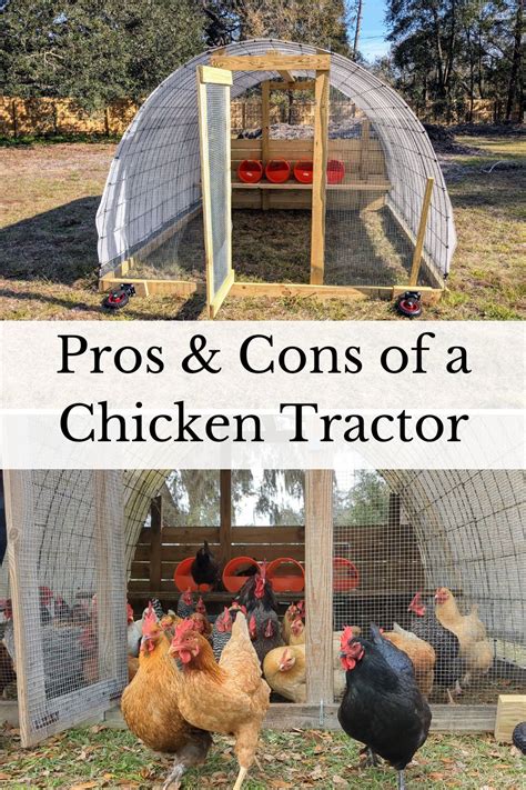 Should You Use A Chicken Tractor Movable Chicken Coop Reformed Acres