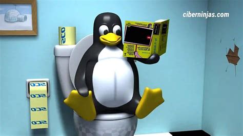 5 Ejemplos De Comando Date En Linux Sistemas Operativos Software