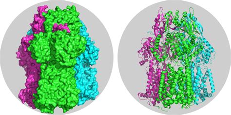 Haddock Small Molecule Binding Site Screening Bonvin Lab