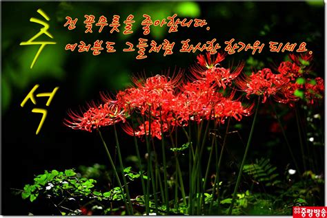 풍성한 한가위되세요 중랑방송