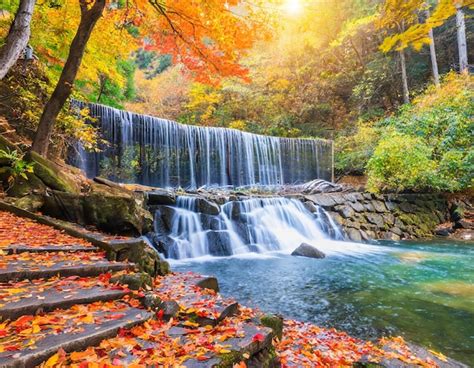 Autumn Leaves Waterfall Wallpaper Smoky Design Nature Landscape Fall