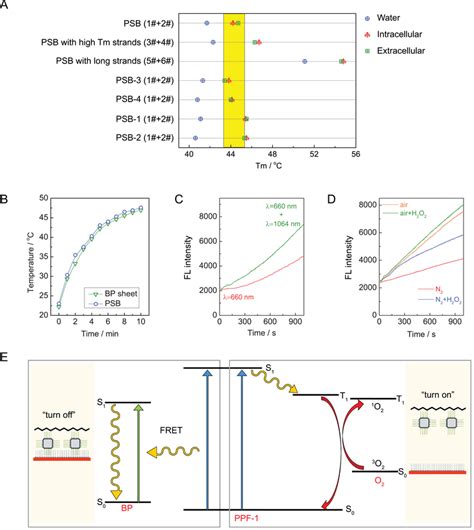 A Tm Of Psb Self‐assembly Structure In Physiological Media B Download Scientific Diagram