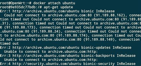 Docker容器默认bridge模式无法访问外部网络 · Issue 1760 · Coolsnowwolflede · Github