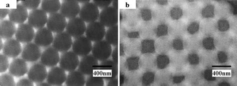 Figure 2 From Preparation Of Ordered Porous Nacl And Kcl Crystals Semantic Scholar