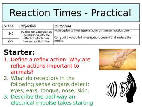 Ocr Gcse 9 1 Biology Reaction Times Investigation Teaching Resources