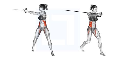 Band Twist Guide Benefits And Form