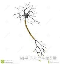 Numpy实现神经网络框架 1 知乎