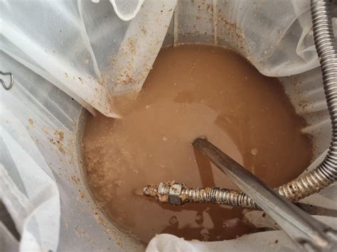 Brewing With Ceoliac Disease Page 16 Make Beer At Home Forums Brewers Friend