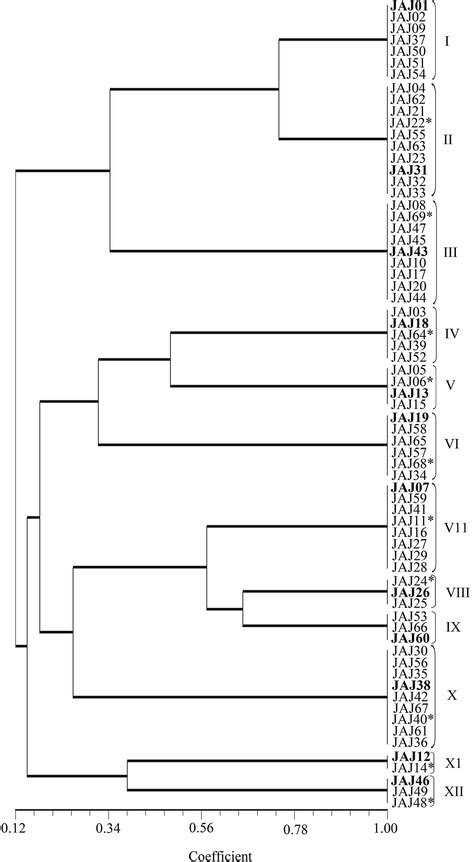 Upgma Dendrogram Inferred From Ardra Patterns Of Actinomycetes Isolated Download Scientific